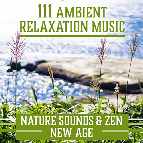 Amazon.com: 111 Ambient Relaxation Music: Nature Sounds & Zen New Age ...