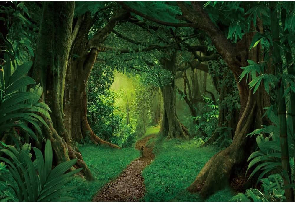 Fond De Jungle Verte