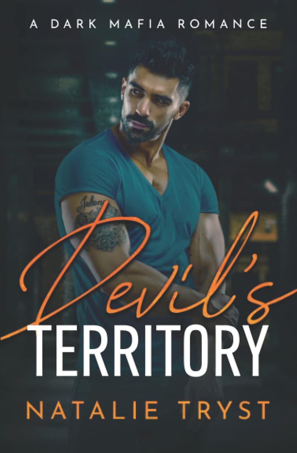 Devil's Territory: A Dark Mafia Romance (Barone Syndicate): Tryst ...