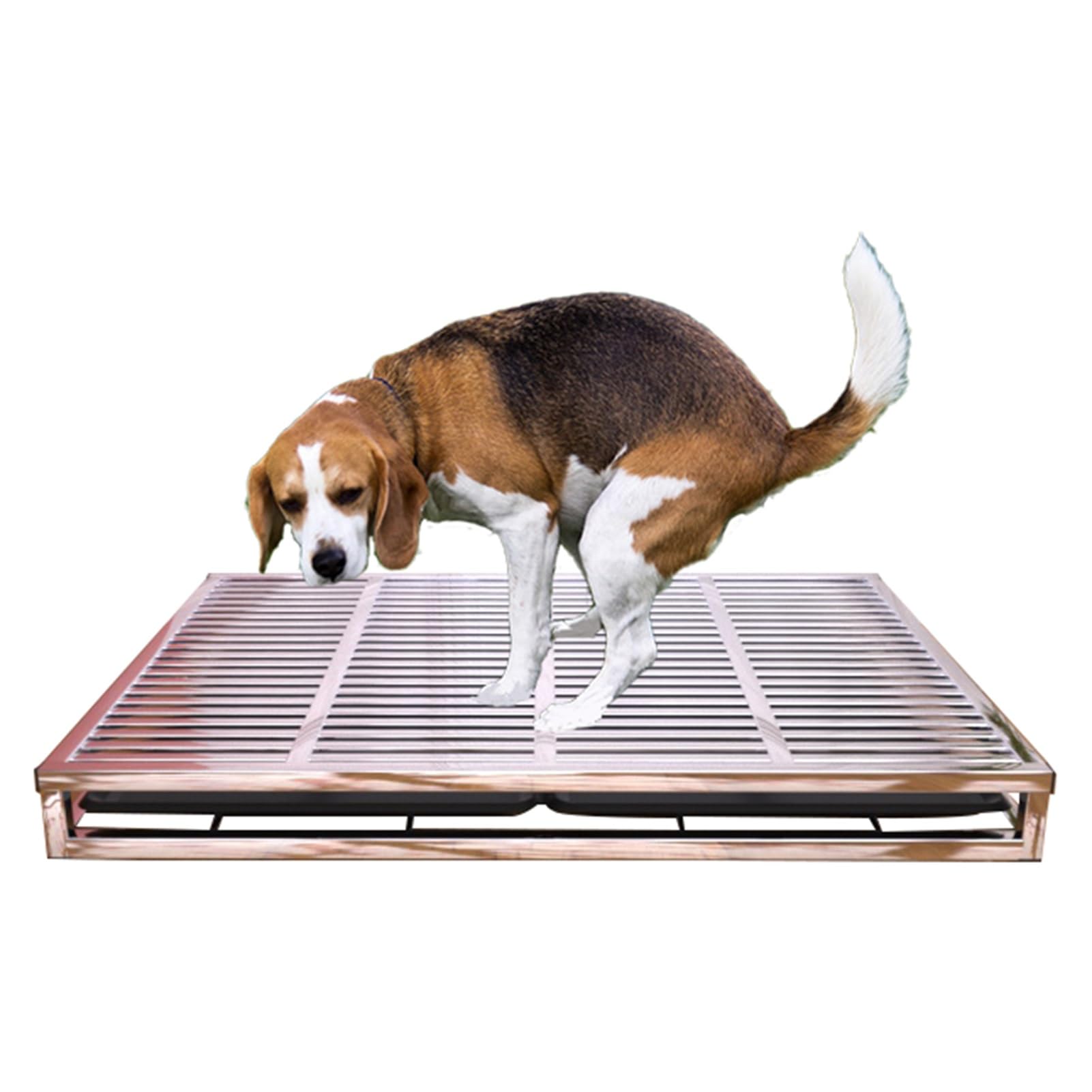 Dog Bathroom Balcony Weasy Smart Potty
