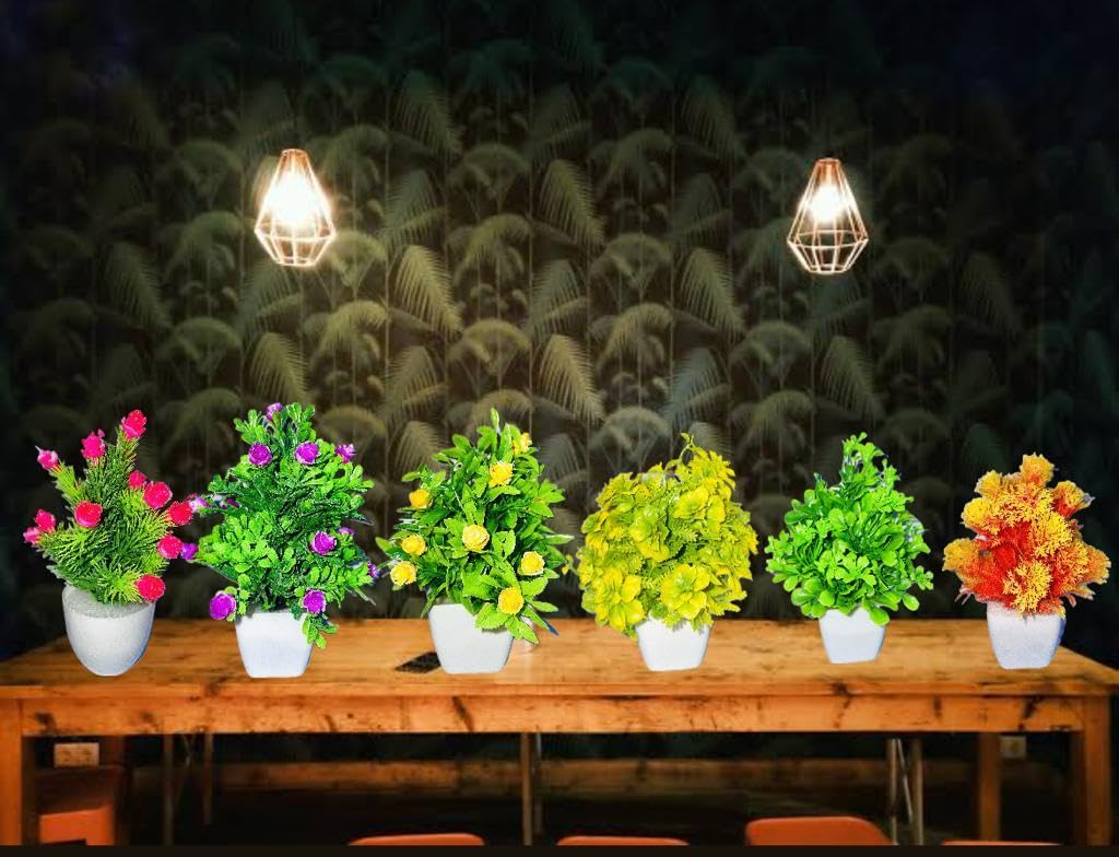 Buy Sunever Mini Green Plant & Flower Plant with Pot Small Greenery ...