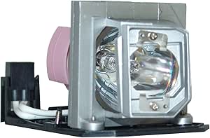 Amazon.com: for Optoma TX762-GOV Lamp Catridge by LucentBulb : Electronics