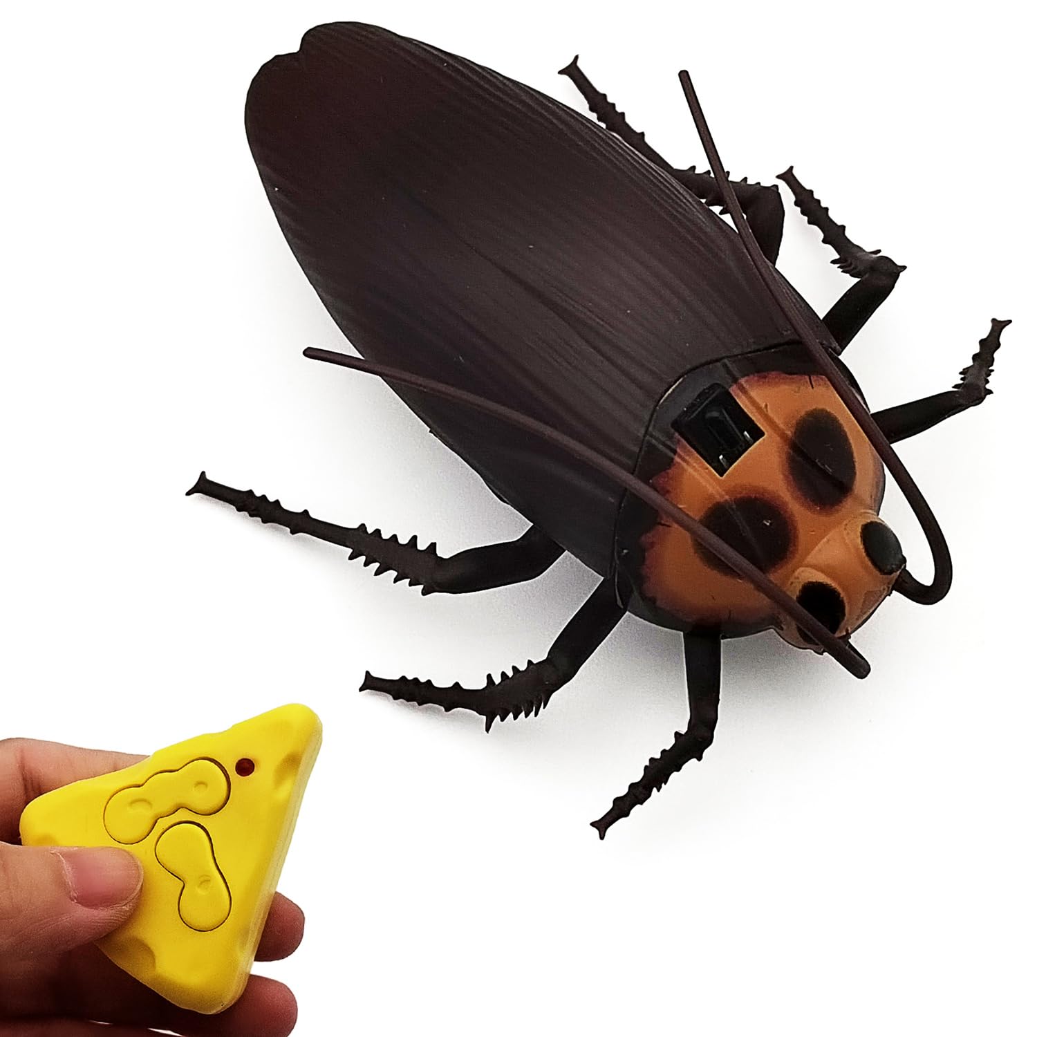Amazon.com: Tipmant Mini RC Cockroach Toy Remote Control Roach Insect ...