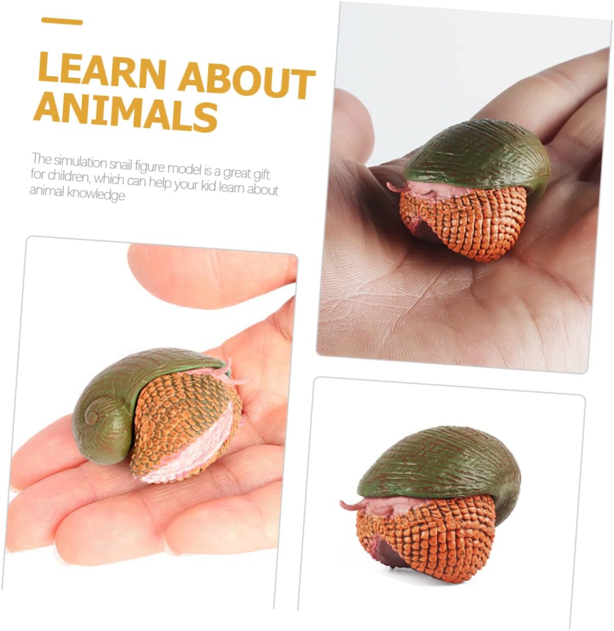 TOYANDONA 4pcs Snail Model Desktop Toys Sea Animals Plastic Playes ...