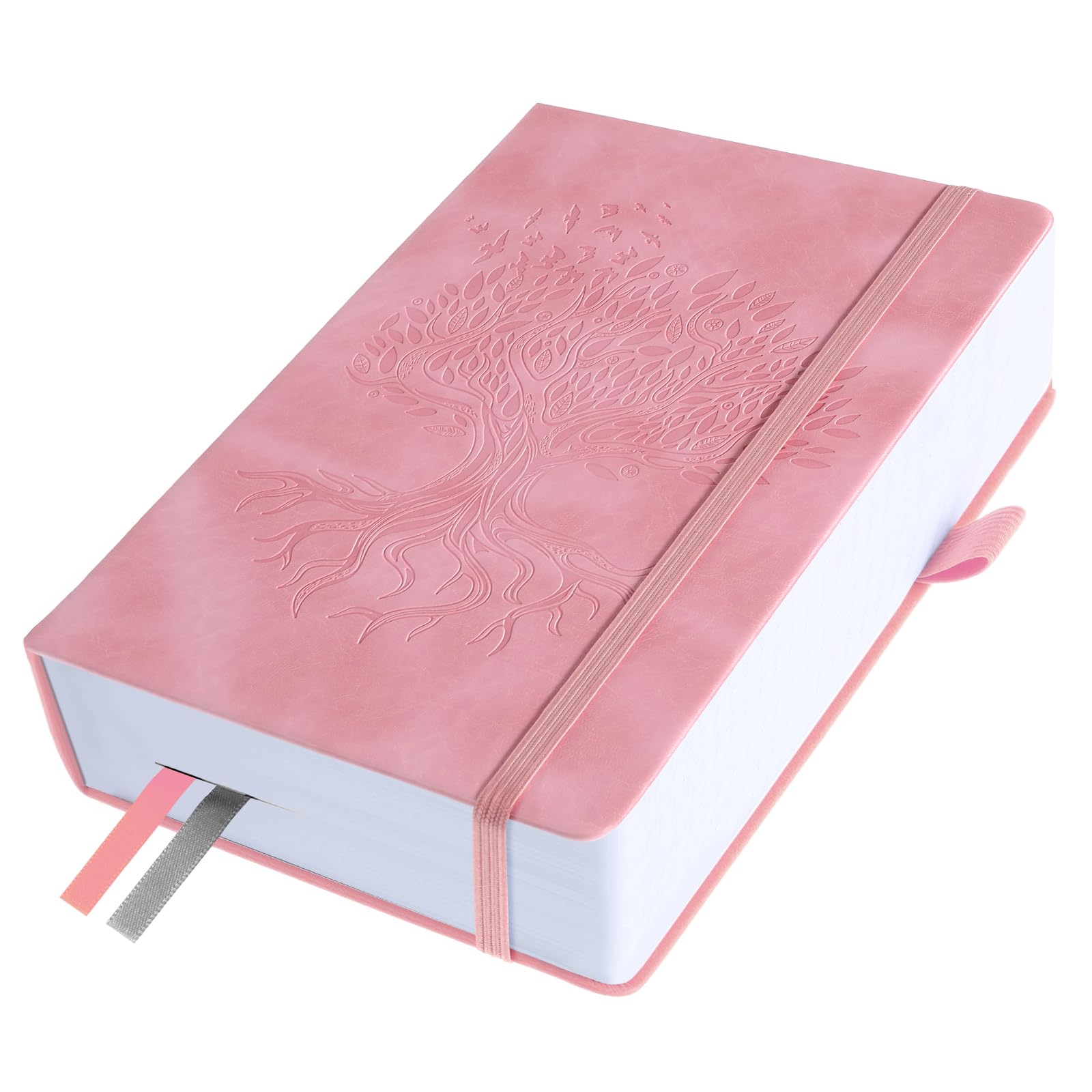 Amazon.com : Journal Notebook with 365 Numbered Pages, Large B5 College ...