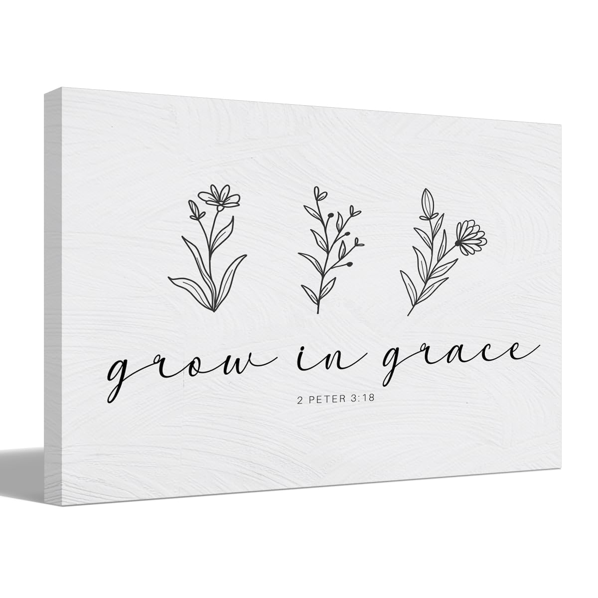 Amazon.com: BIWSHA Inspirational Bible Verse Wall Art,Grow in Grace ...