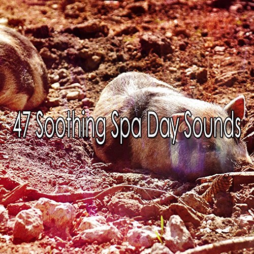 47 Soothing Spa Day Sounds by Best Relaxing SPA Music on Prime Music