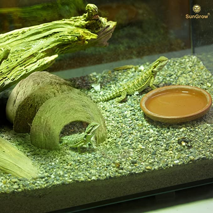 Crested Gecko Tank Accessories Reptile Gecko Coconut Husk Hut Lizard ...