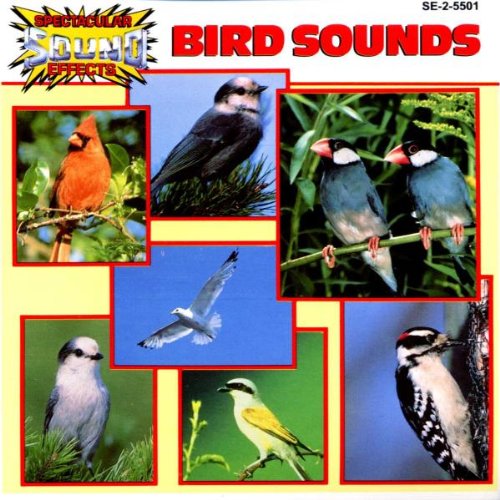 Amazon.com: Bird Sounds: CDs & Vinyl
