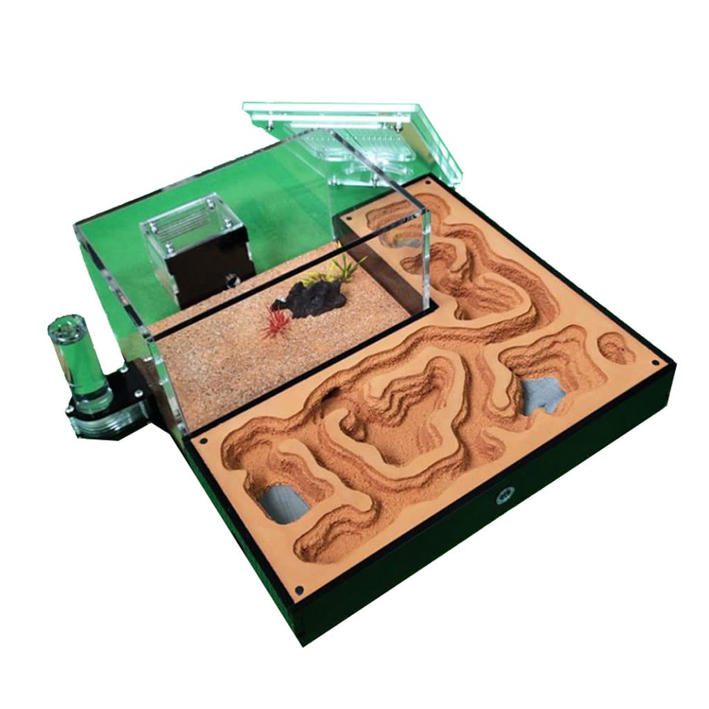 Acrylic Large Ant Farm Box Ant Home For Study Ant | Desertcart INDIA