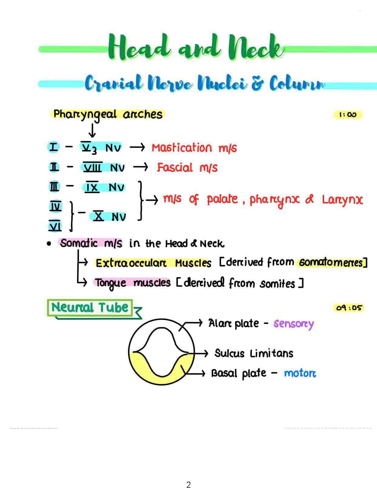 Buy Handwritten Anatomy Notes By Dr. Ashwani Kumar Book Online at Low ...
