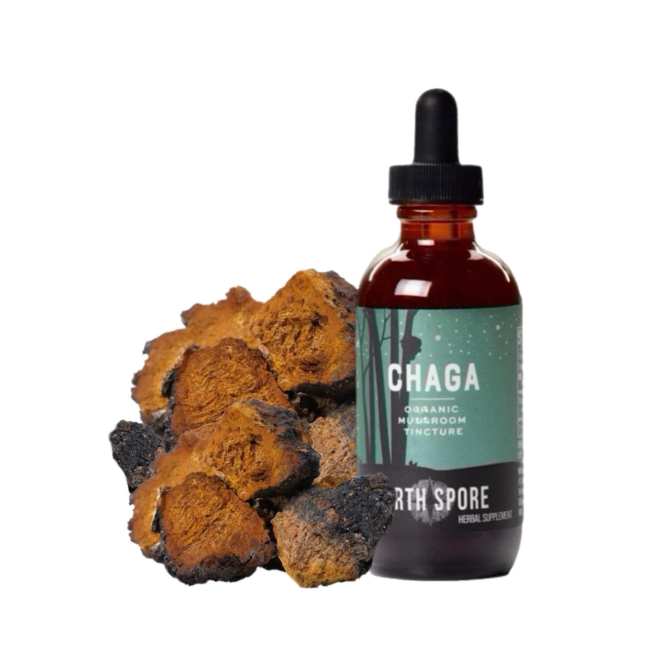 Amazon.com: North Spore Chaga Mushroom Tincture | Energy & Wellness ...