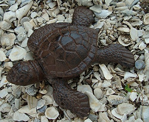 Amazon.com: Rustic Nautical Cast Iron Beach Sea Turtle Key Hider ...