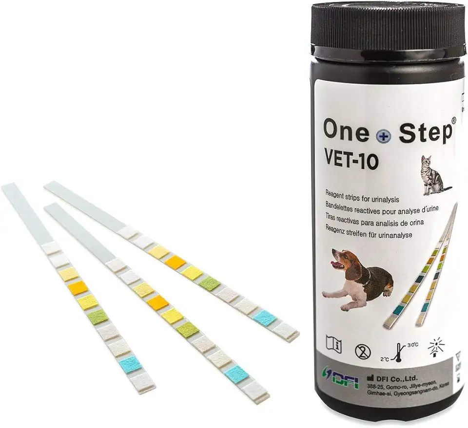 Understanding Your Cat s Kidney Health Through Blood Tests PetShun understanding-your-cat-s-kidney-health-through-blood-tests-petshun