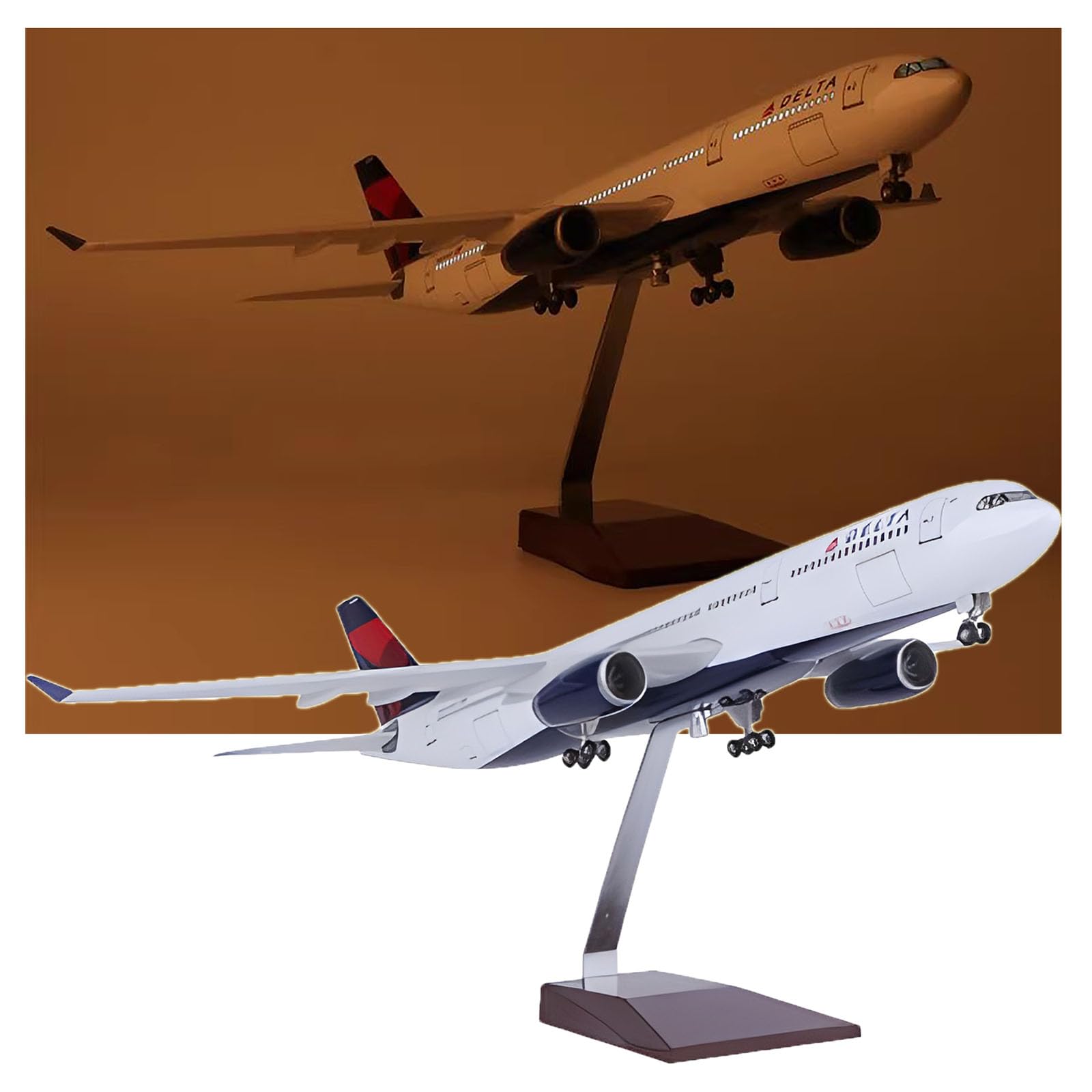 Delta Wing Passenger Aircraft