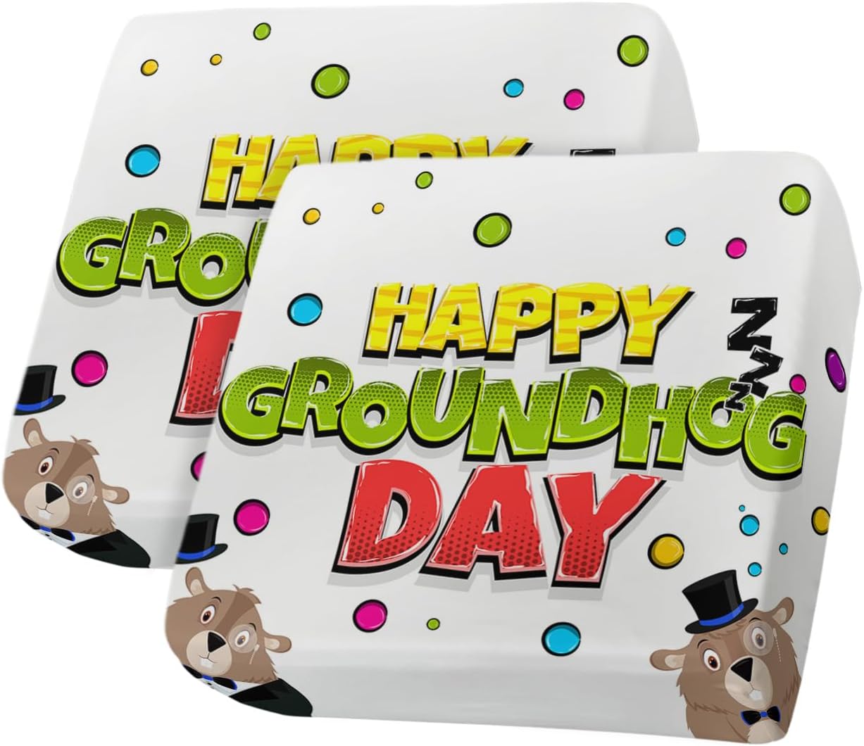 Yukro Couch Cushion Covers, Spring Happy Groundhog Day Cartoon White ...