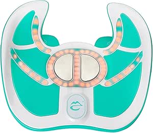 Amazon.com: KJLYLPP Pelvic Floor Muscle Repair Instrument Pelvic Floor ...