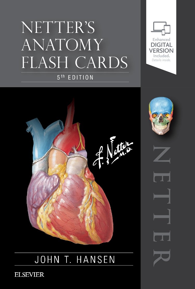 Netter's Anatomy Flash Cards (Netter Basic Science): 9780323530507 ...