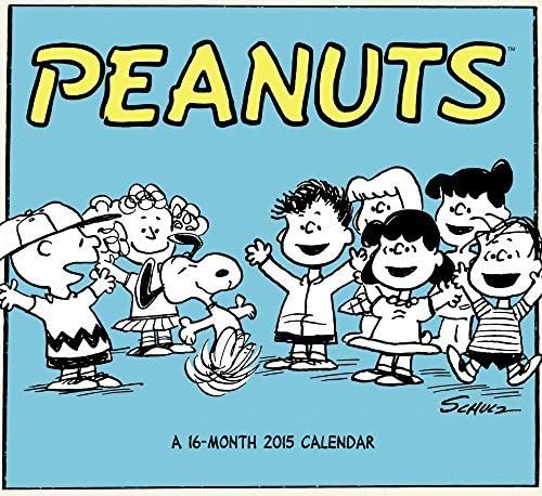 Amazon.com: 2025 Peanuts Square Family Planner Organiser Wall Calendar ...