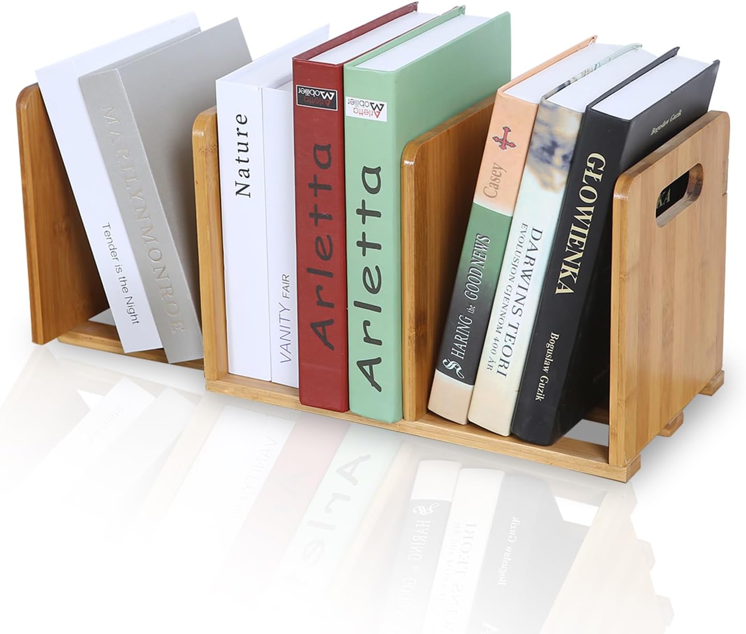 Amazon.com: Fox Claw Wood Tilting Bookcase in Living Room/Home/Office ...