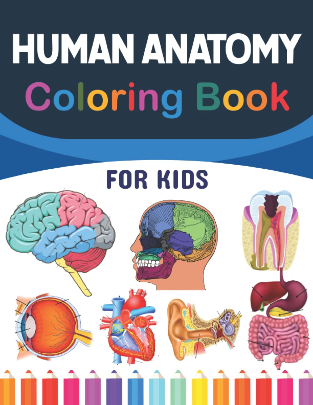 Compare human anatomy coloring book for kids: human anatomy physiology ...