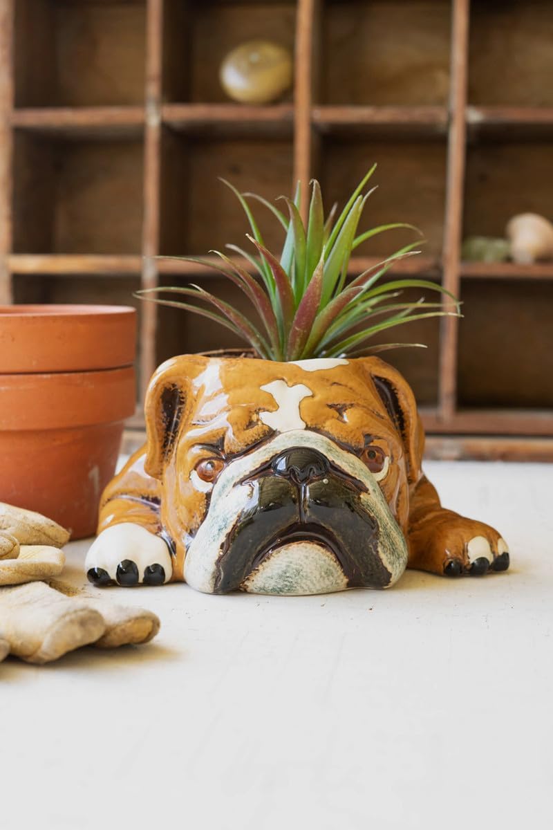 Amazon.com : Lnakio Pet Flower Pots Flower Pots Outdoor Garden ...