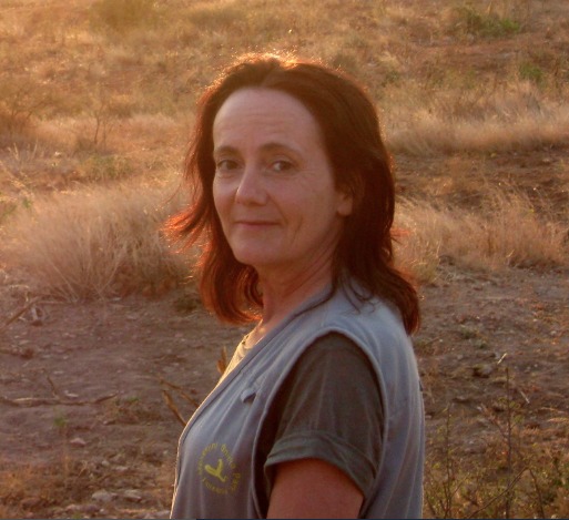 Amazon.com: Katherine Scholes: books, biography, latest update