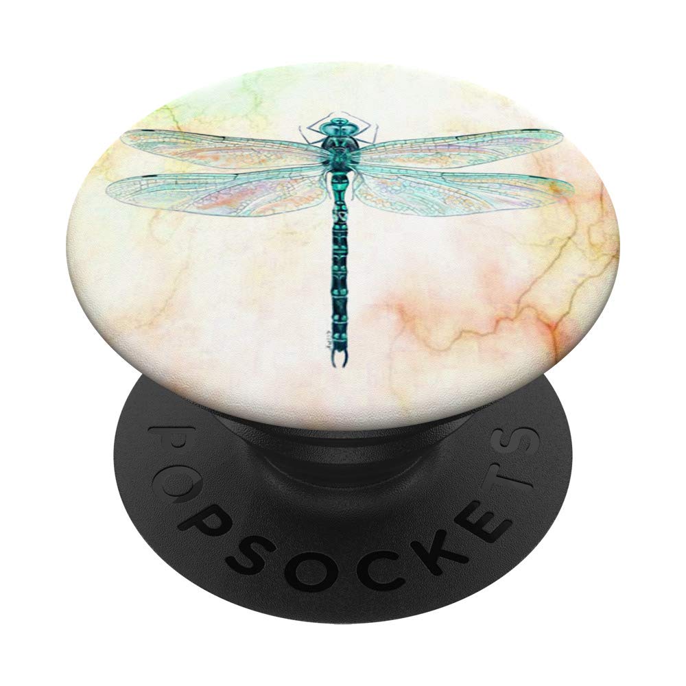 Cute Dragonfly