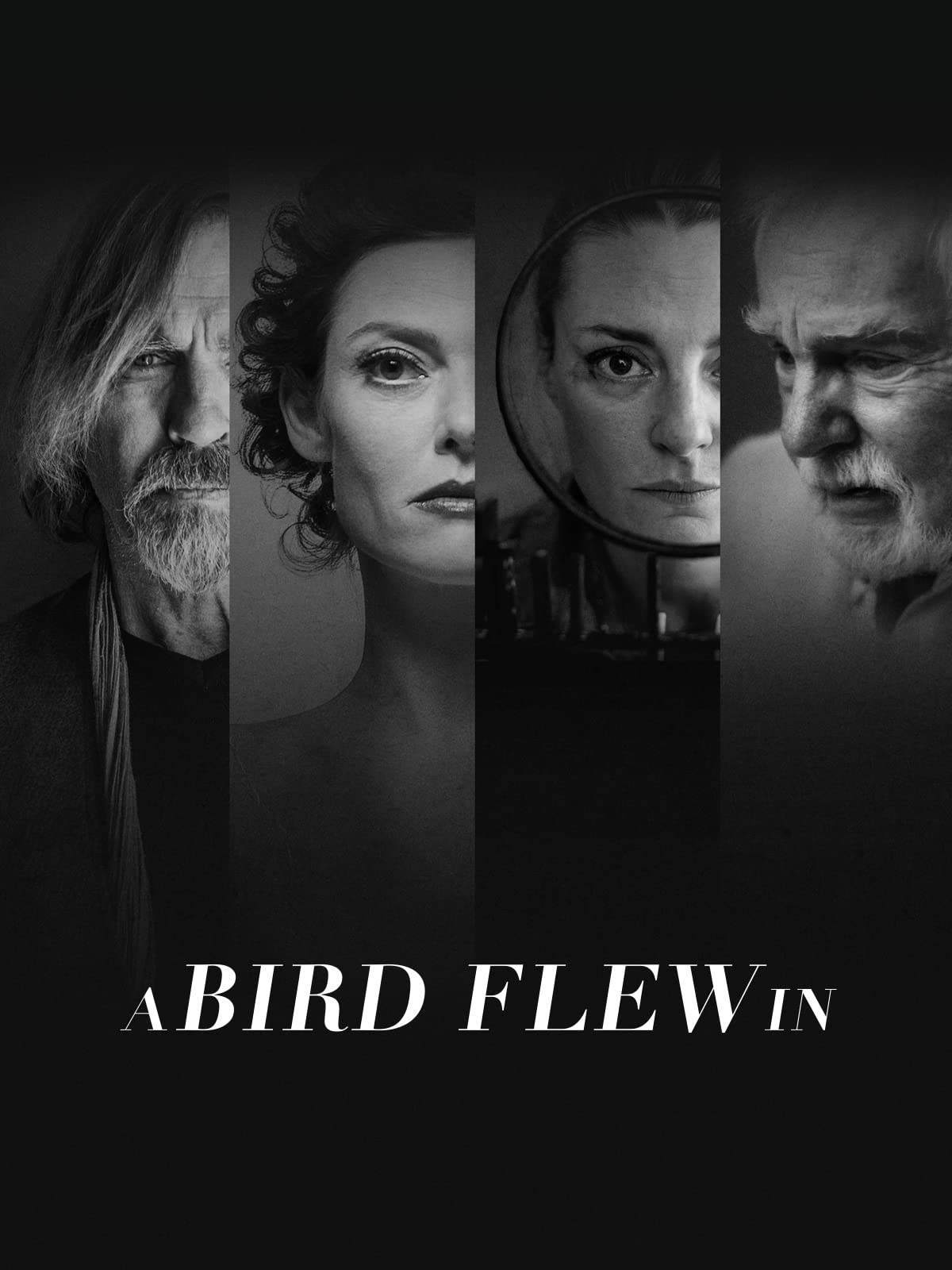 Watch A Bird Flew In | Prime Video