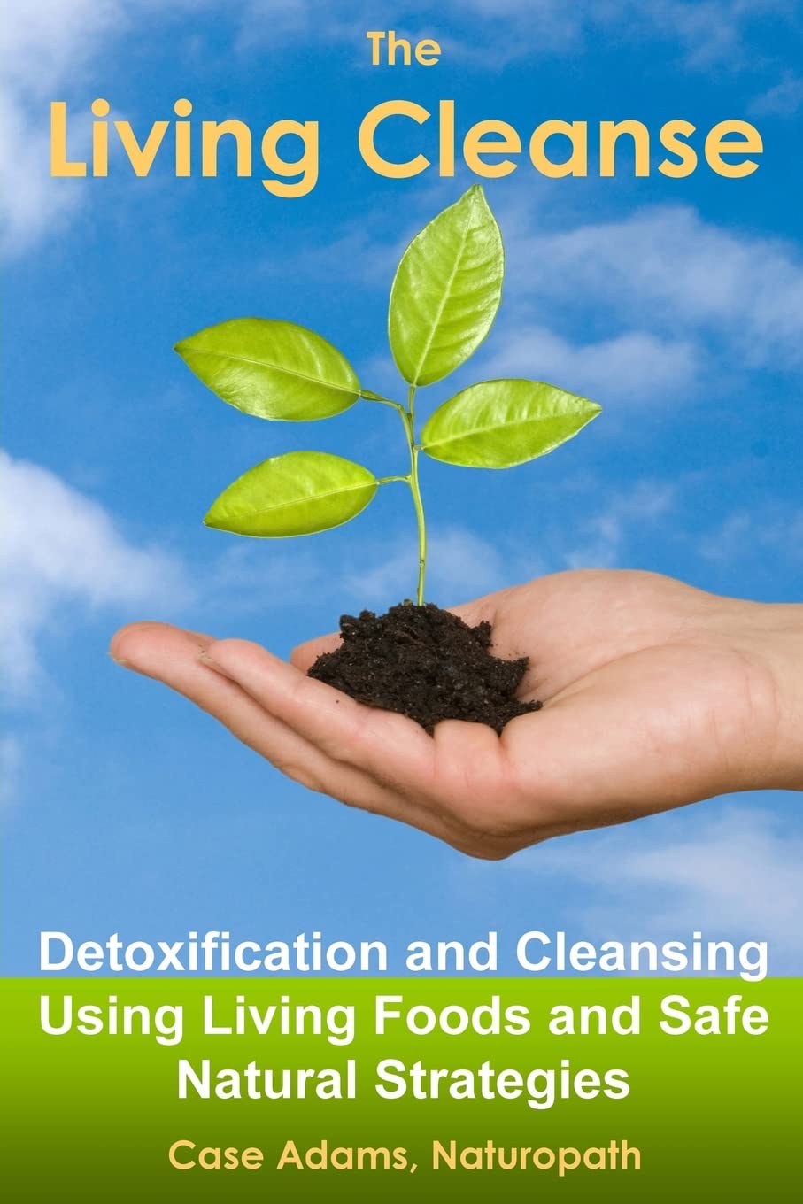 The Living Cleanse: Detoxification and Cleansing Using Living Foods and ...