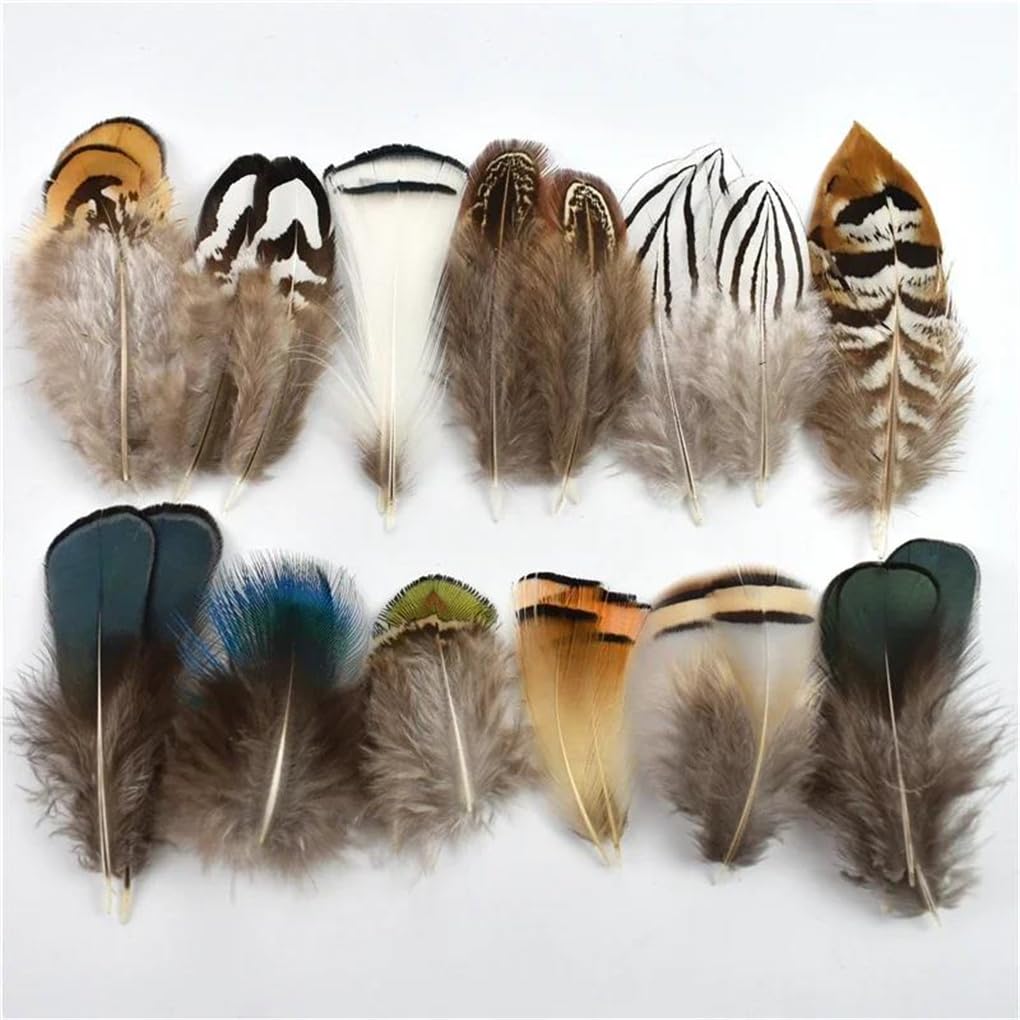 Imágenes De Plumas De Aves Imágenes De Plumas De Aves | Descarga
