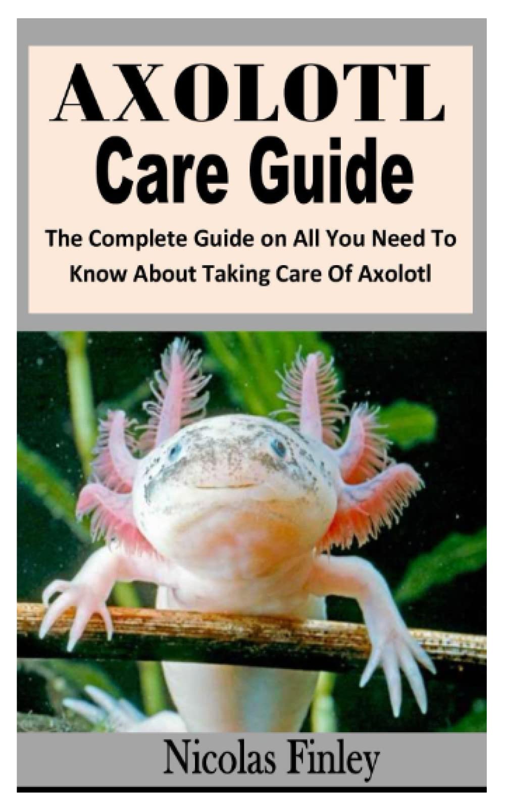 Axolotl Care Guide The Complete Guide On All You Need | Desertcart ...
