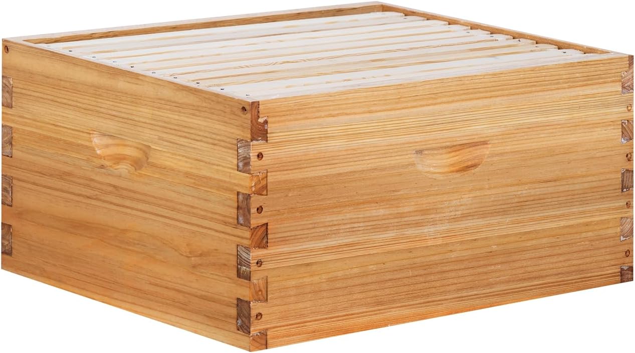 Amazon.com : POLLIBEE 10 Frame Beehive Box, Langstoth Deep Brood Box ...