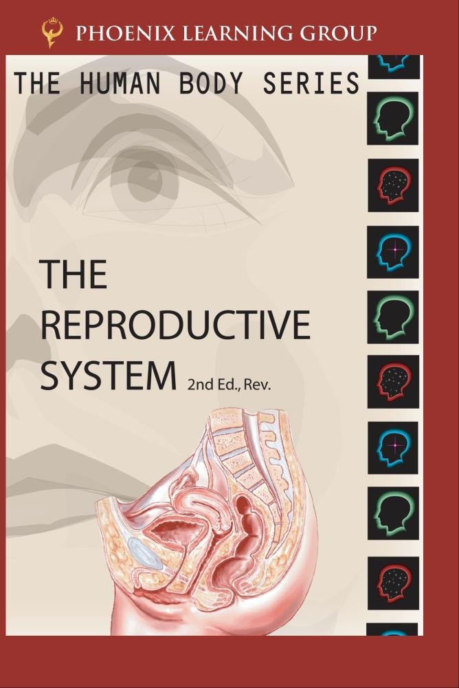 Amazon.com: The Human Body: Reproductive System : Movies & TV