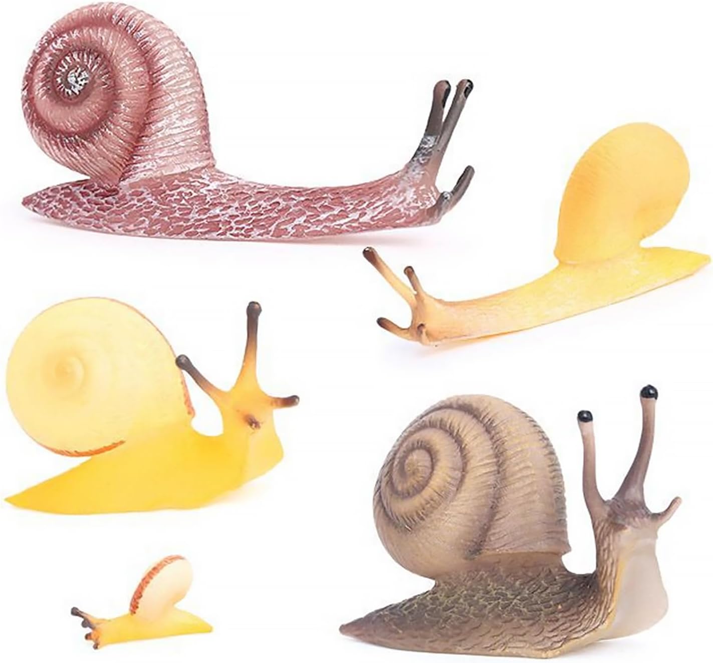 Amazon.com: Hiawbon 5 Pcs Snail Figurines Plastic Snail Figure ...