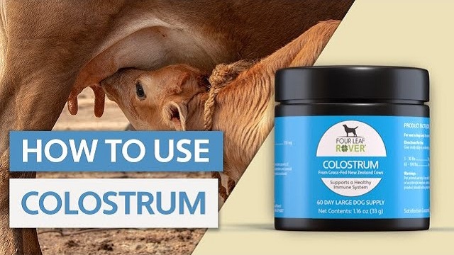 Watch How To Use Colostrum on Amazon Live