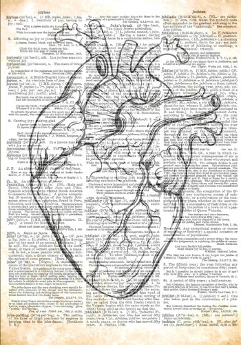 Anatomical Heart Dictionary Artwork Notebook: 7 x 10 Inch College Ruled ...