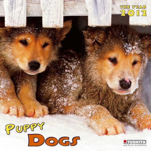 Puppy Dogs 2012 Wall Calendar: Tushita: 9783863232160: Amazon.com: Books