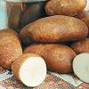 Amazon.com : 60 Russet Potato Seeds for Growing Outdoors, True Potato ...