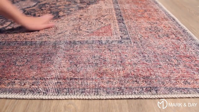 Watch Olterterp Updated Traditional Clay Area Rug on Amazon Live