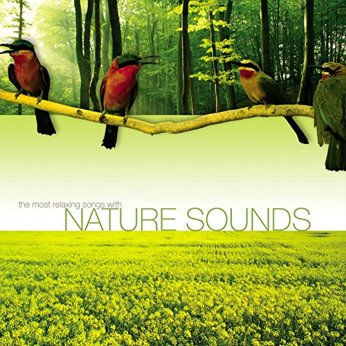 Play The Most Relaxing Songs with Nature Sounds by VARIOUS ARTISTS on ...