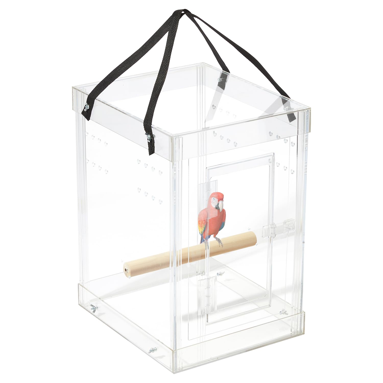 Snapklik.com : PENNZONI Medium Bird Carrier Display Case, Crystal Clear ...