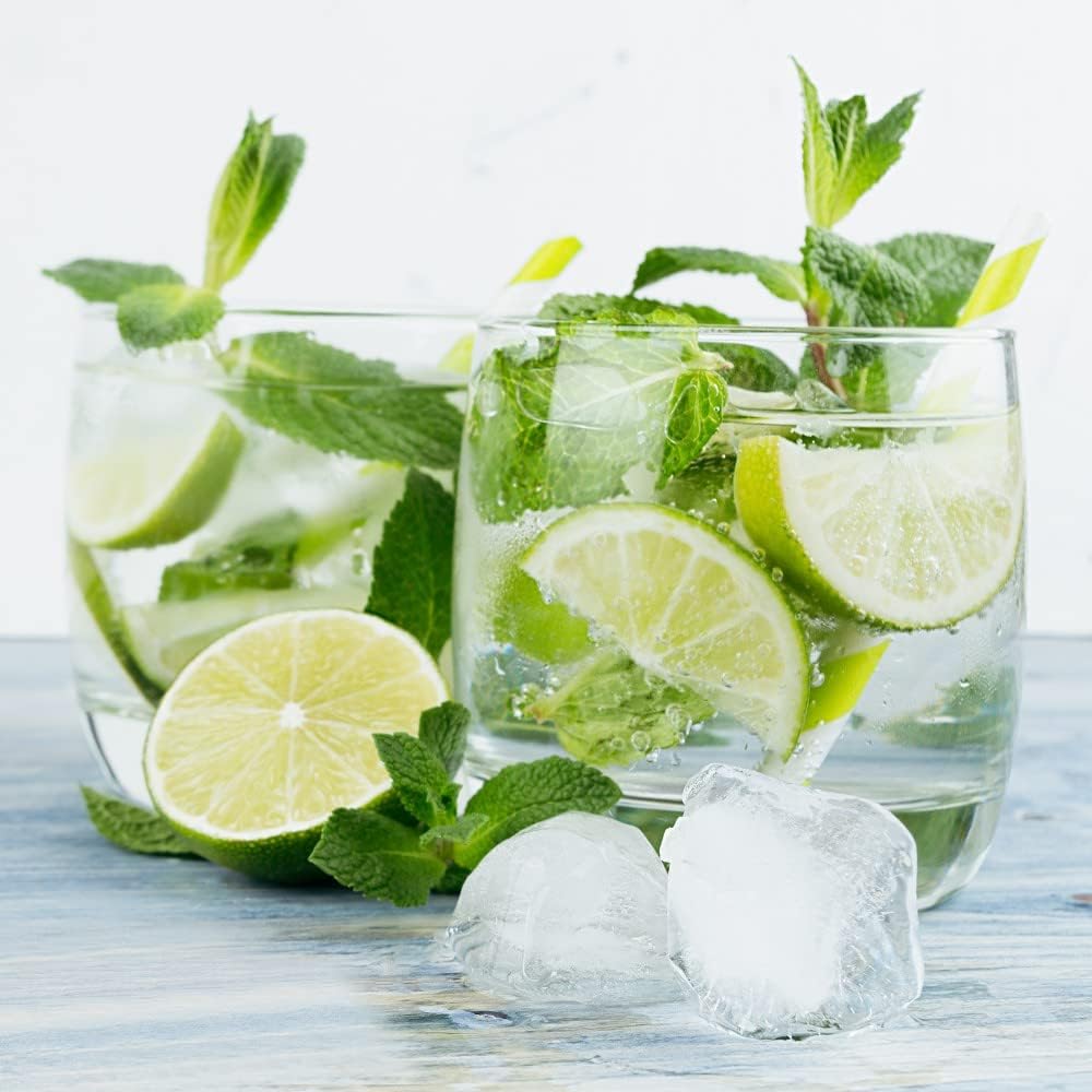 Herb Trio 'Gin & Tonic' Plug Plants Lemon Verbena Peppermint and Lemon ...