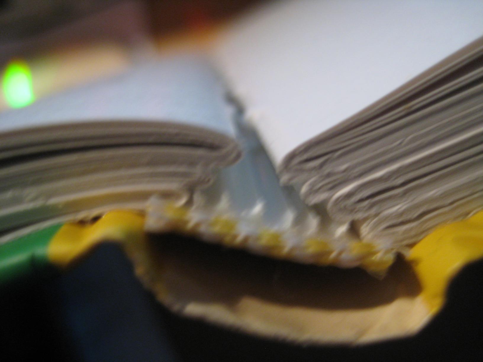 Lurchis Abenteuer 03: Das lustige Salamanderbuch. Sammlung der grünen ...