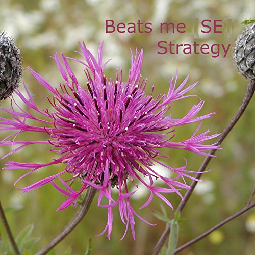 Amazon.com: Strategy [Explicit] : Beats Me SE: Digital Music