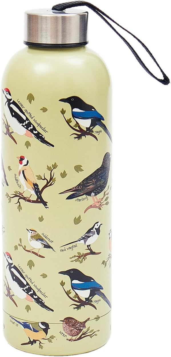 Amazon.com: ECO CHIC Travel Insulated Water Bottle - LFGB Certified ...