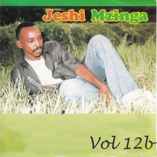 Amazon.com: Jeshi Mzinga,Vol. 12b : Jeshi Mzinga: Digital Music