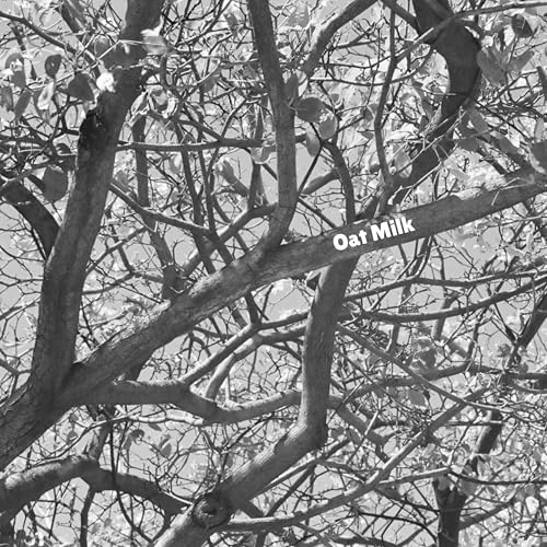 Écouter Oat Milk par David Willner sur Amazon Music Unlimited