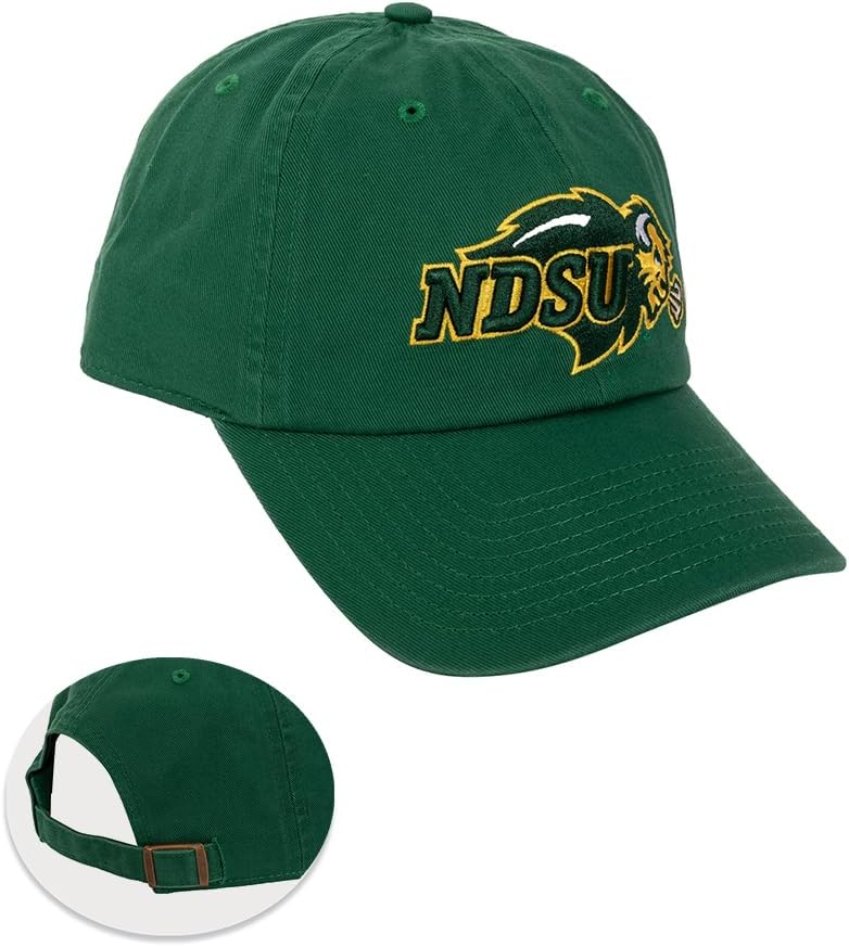 Amazon.com: Desert Cactus North Dakota State University Baseball Hat ...