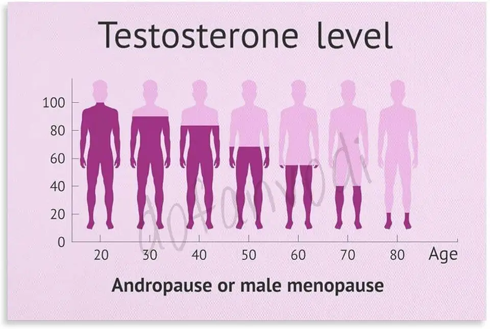 Understanding The Average Testosterone Level By Age In Nmol | MedShun